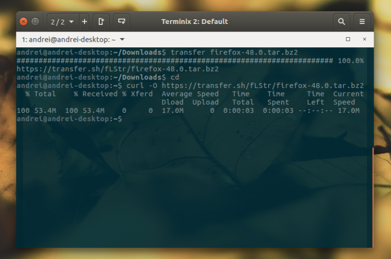 Condividete i vostri file da terminale con transfer.sh ! - Linux Freedom