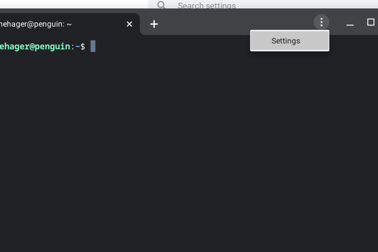 Chrome OS 83: in arrivo il nuovo Linux Terminal