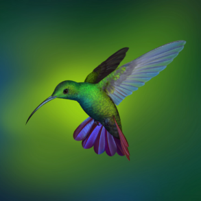 LFFL – La tua risorsa Linux - Linux Freedom