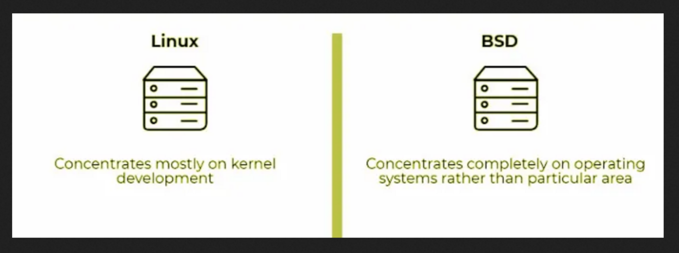 BSD vs GNU/Linux: lo sviluppo delle distribuzioni a confronto - Aggregatore GNU/Linux e dintorni