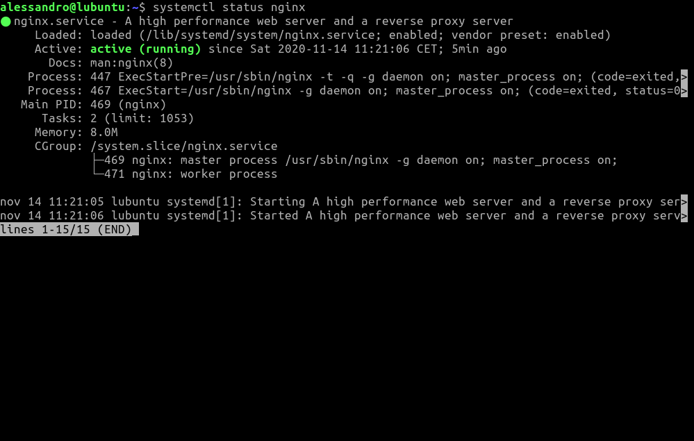 [Guida] Utilizzare Nginx per l’hosting di una Flutter web app - Aggregatore GNU/Linux e dintorni