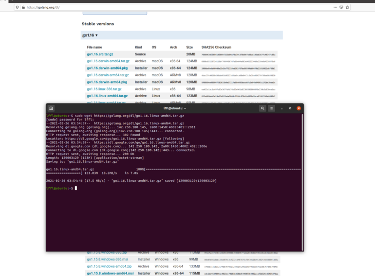 [GUIDA] Ecco come installare Go (Golang) su Ubuntu Linux