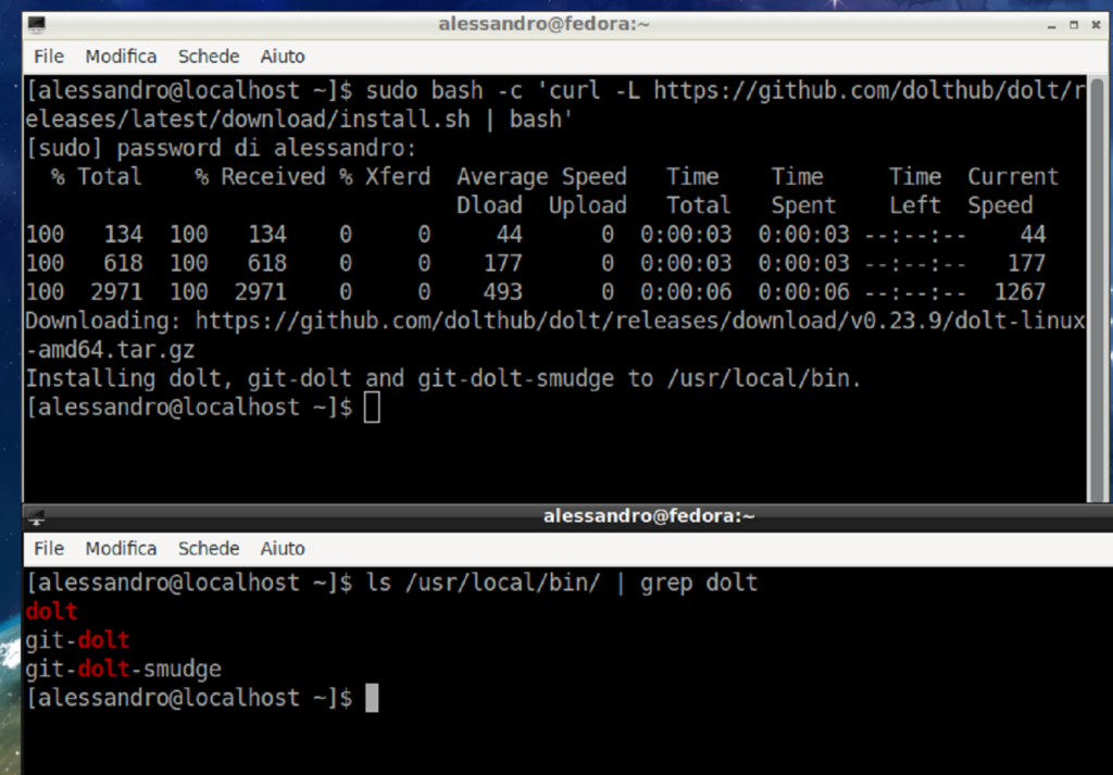 [Guida] Dolt e DoltHub, il version control system per i dati