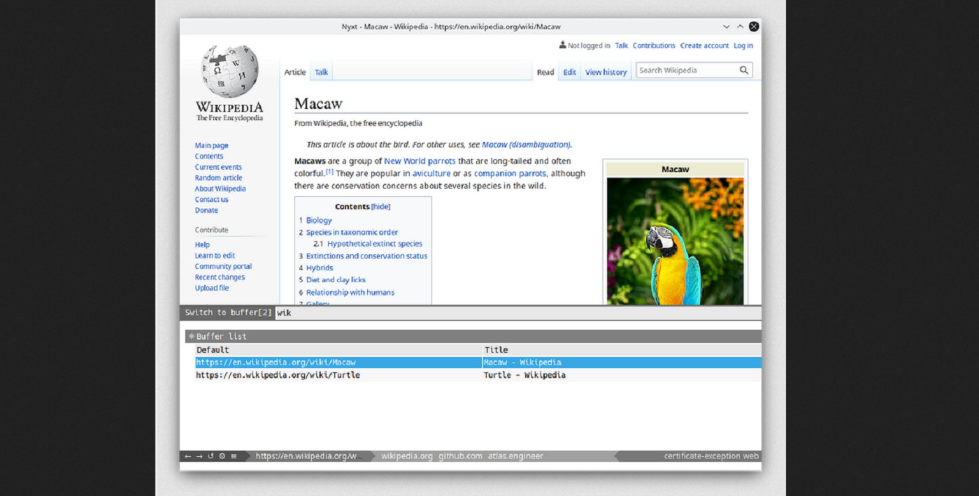 Nyxt Browser funziona da terminale ed è Lisp ready!