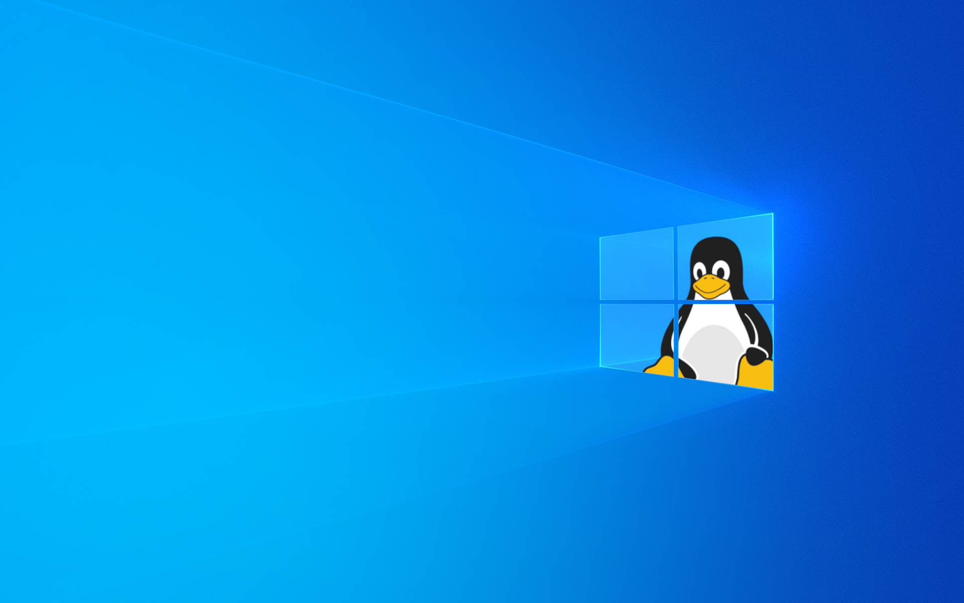 Microsoft a sorpresa: ufficiali i nuovi Performance Tool per Linux e Android